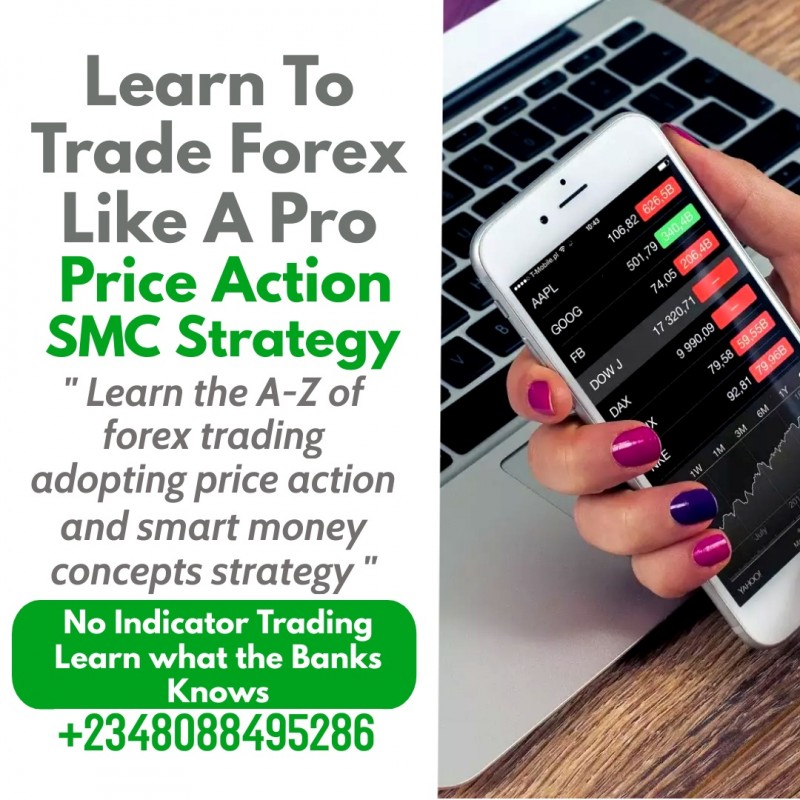 Buy Learn to trade forex like a PRO by Pip Sucker Forex on Selar