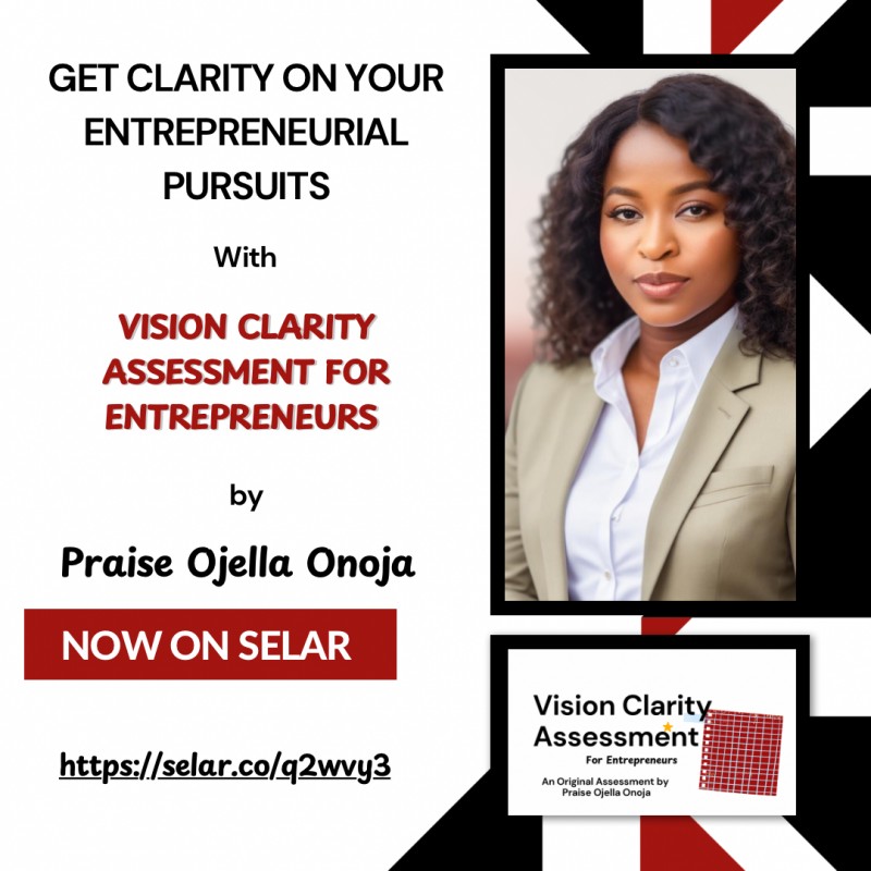 Get VISION CLARITY ASSESSMENT FOR ENTREPRENEURS by Praise Ojella Onoja ...