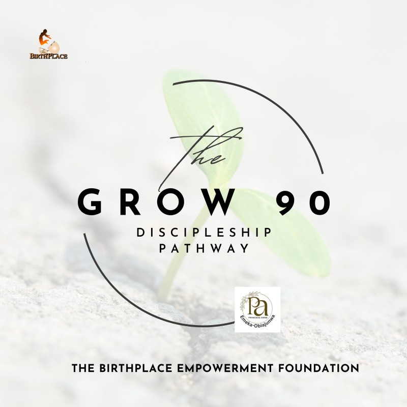 Get GROW 90 DISCIPLESHIP PATHWAY by SheLeadership Solutions on Selar