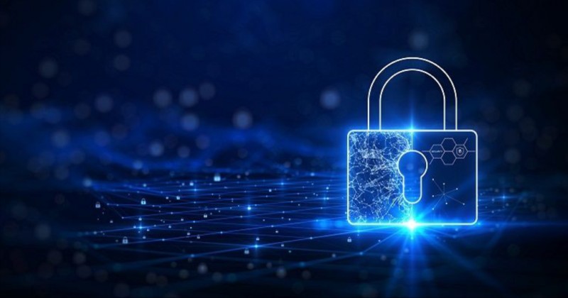 Buy Cyber Security and Data Protection: Safeguard Your Future in the ...