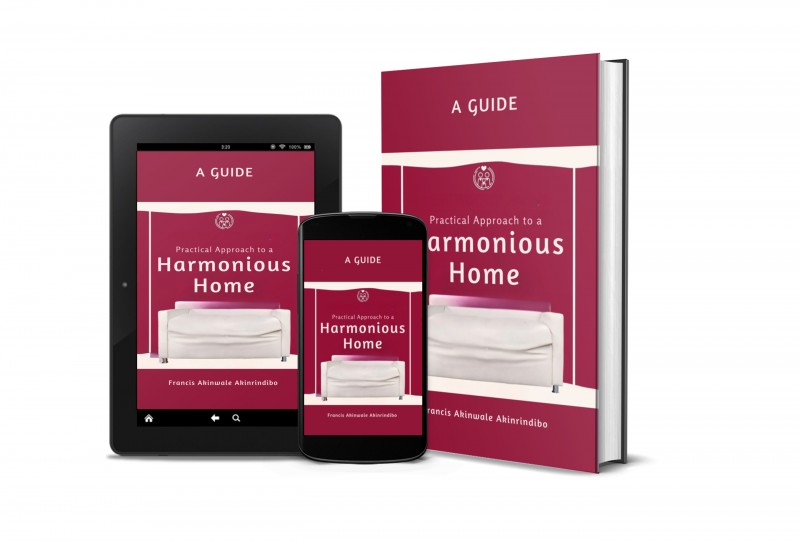 Buy Practical Approach to a Harmonious Home by Akinrindibo Francis on Selar