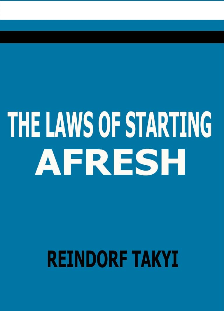 Buy The laws of starting afresh by REIN REINDORF STORE on Selar