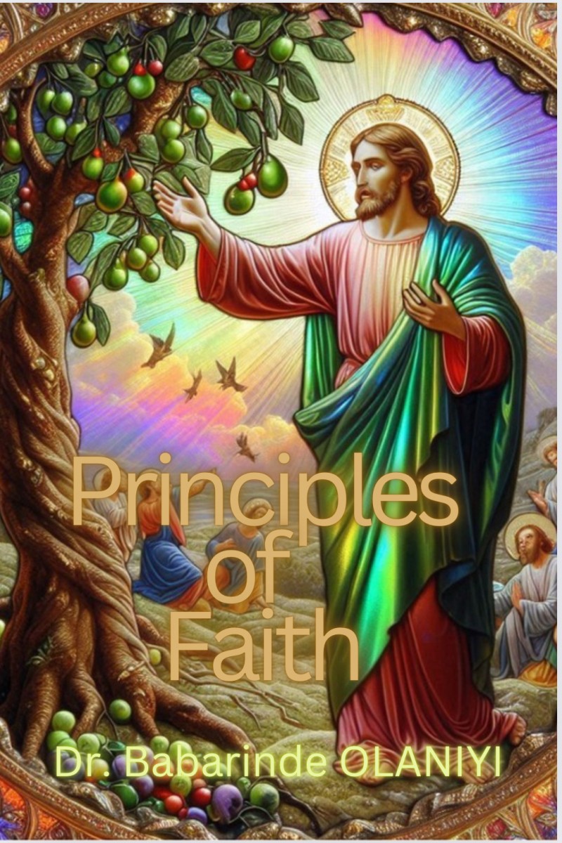 Buy Principles of Faith by Babarinde OLANIYI on Selar