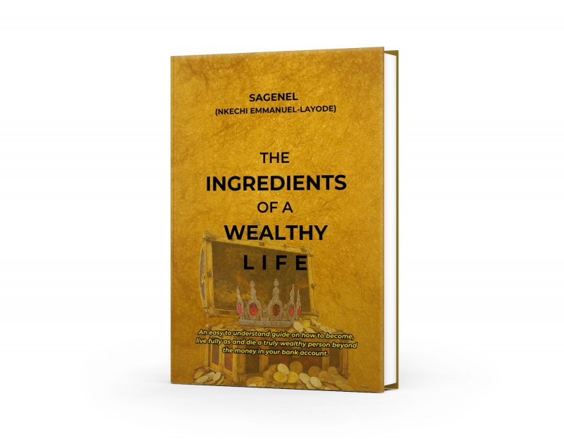 Buy The Ingredients of a Wealthy Life by Nkechi Emmanuel-Layode on Selar