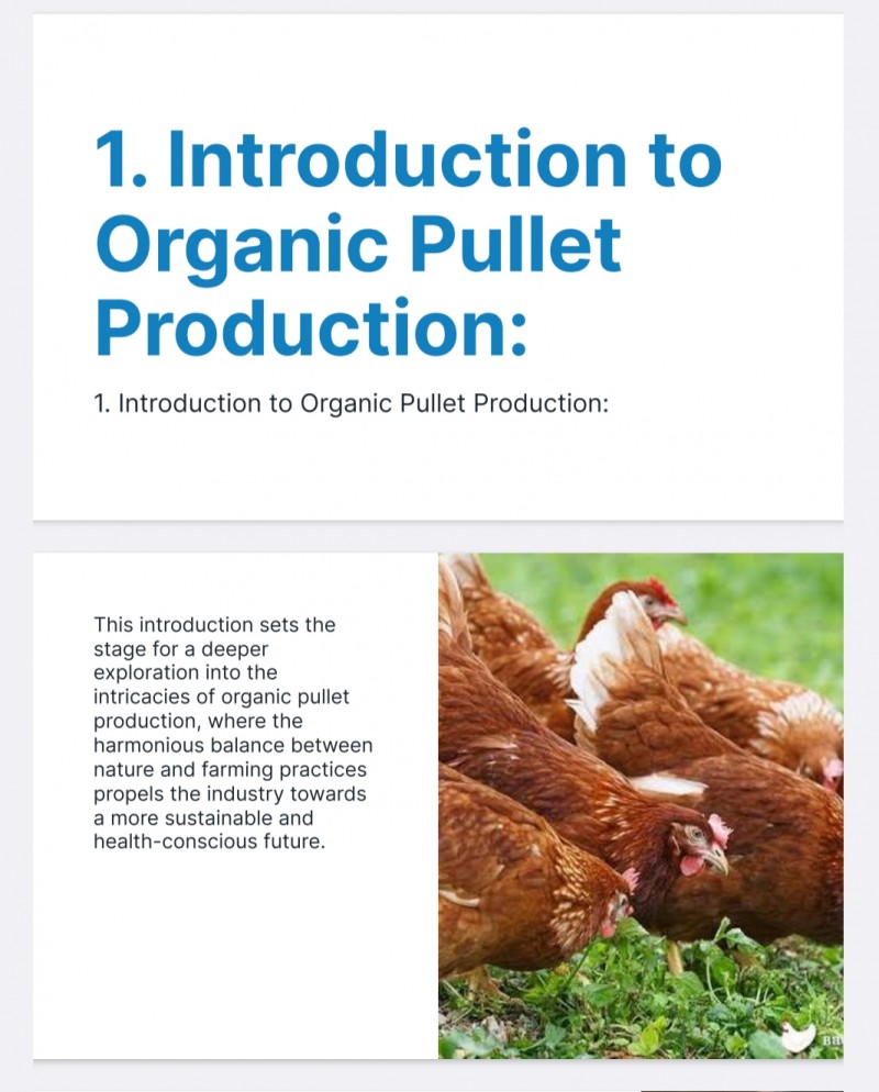 Buy Organic Pullets Production by Adesoji Saka on Selar