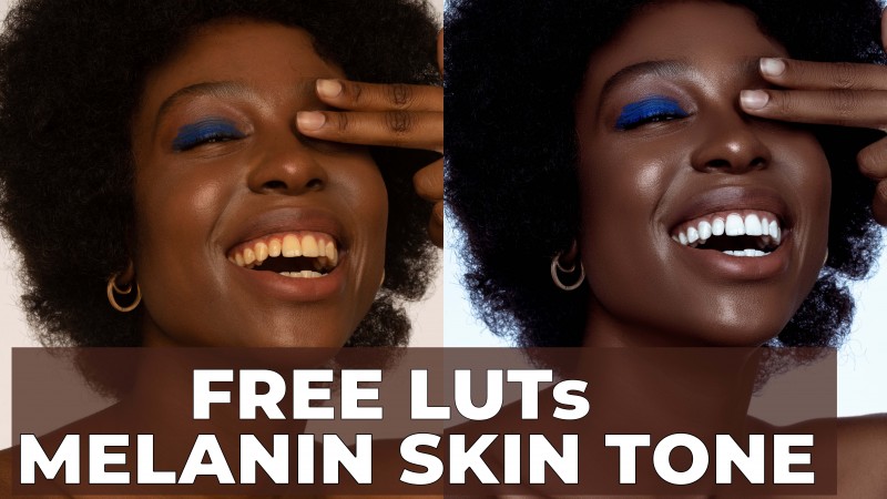 Chocolate Skin Tone Luts
