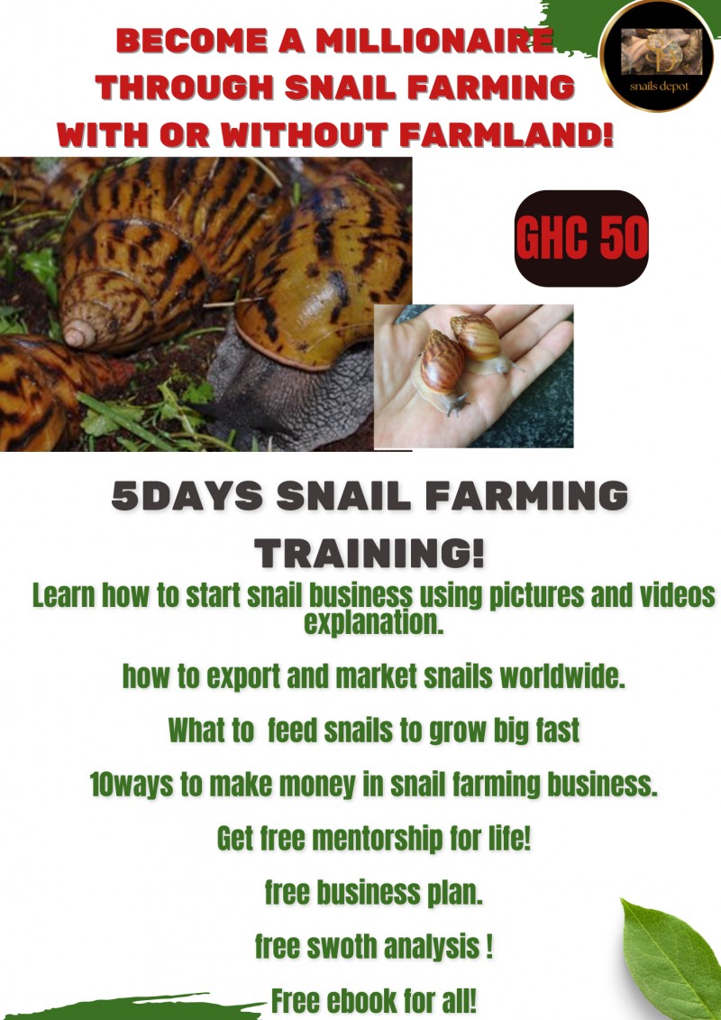 Get 5days Snail farming training by Oniyide Balqees on Selar