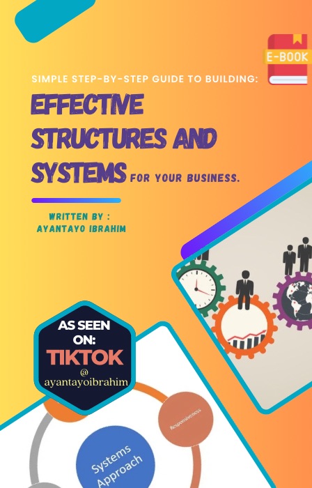 Buy A Step-by-Step Guide to Building Effective Structures and Systems for your Business by ...
