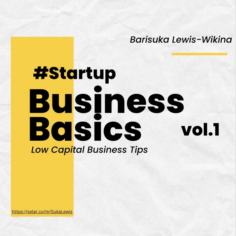 Buy Business Basics Vol.1 (Low Capital Business Tips) by SukaLewis on Selar