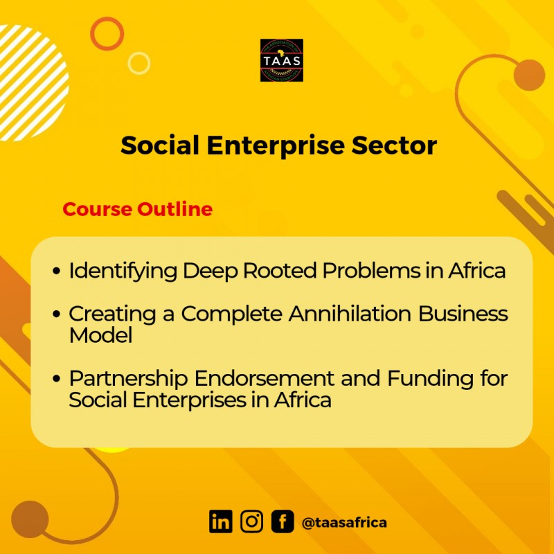 Buy How to Profit in and Dominate the Social Enterprise Sector by TAAS ...