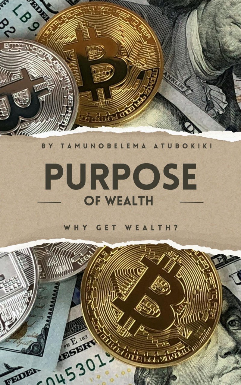 Buy Purpose of Wealth by Tamunobelema Atubokiki on Selar