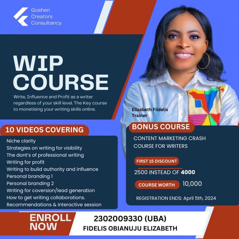 Buy WIP COURSE by Elizabeth Fidelis on Selar