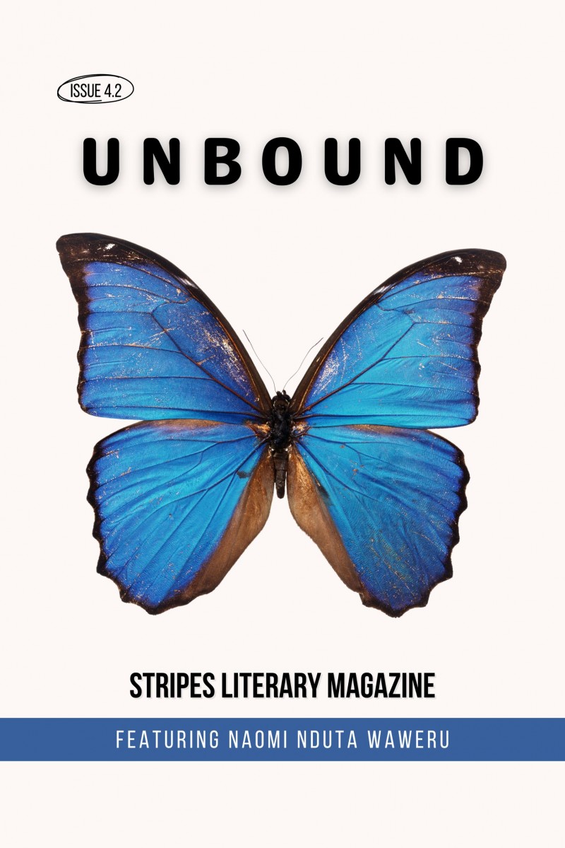 Get Unbound: Stripes Literary Magazine Issue 4.2 by Stripes Literary Magazine on Selar