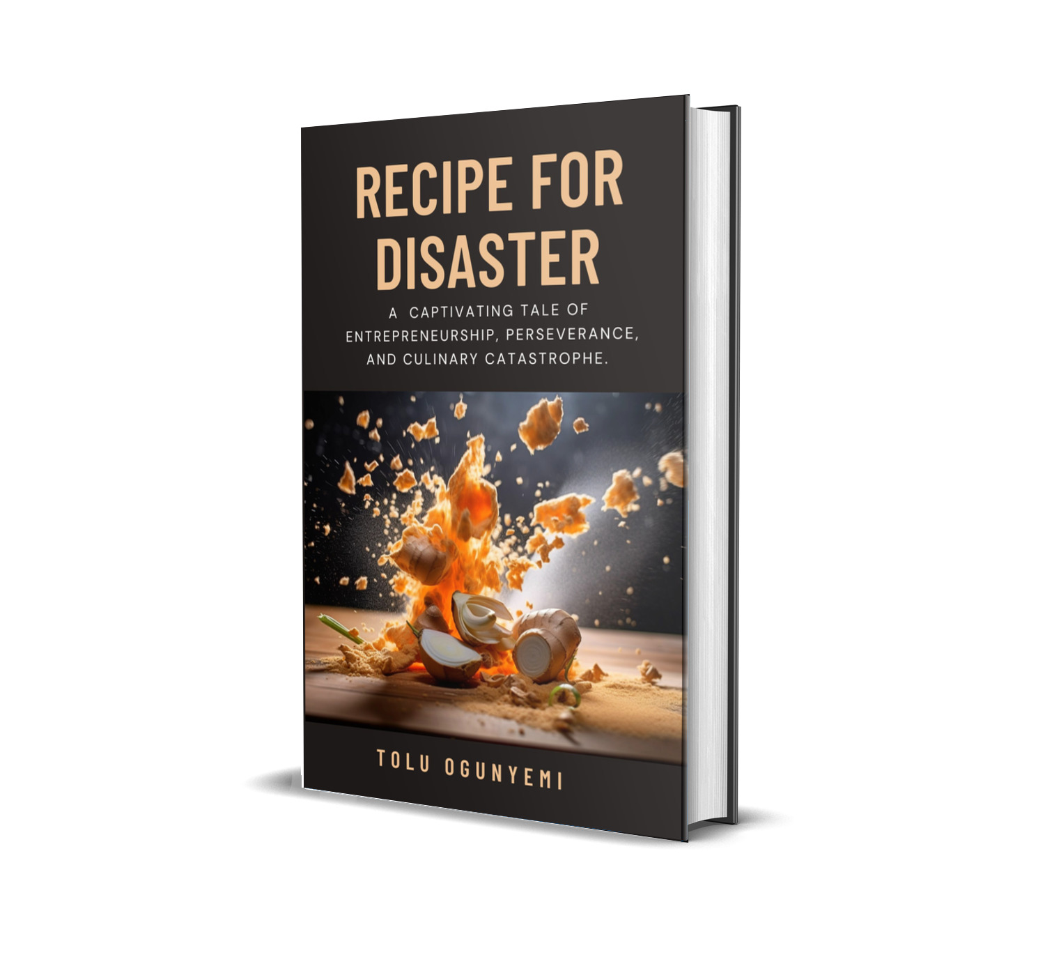 Buy RECIPE FOR DISASTER by Tolu Ogunyemi on Selar