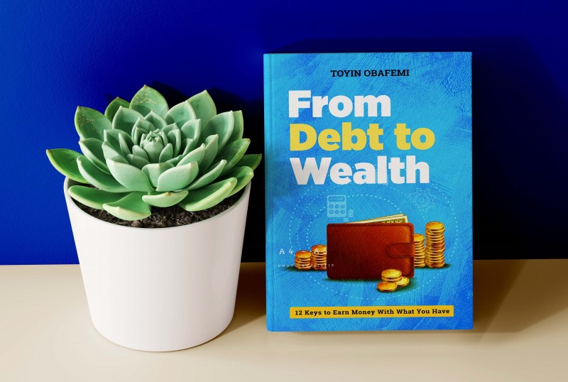 Buy FROM DEBT TO WEALTH: 12 Keys To Earn Money With What You Have by ...