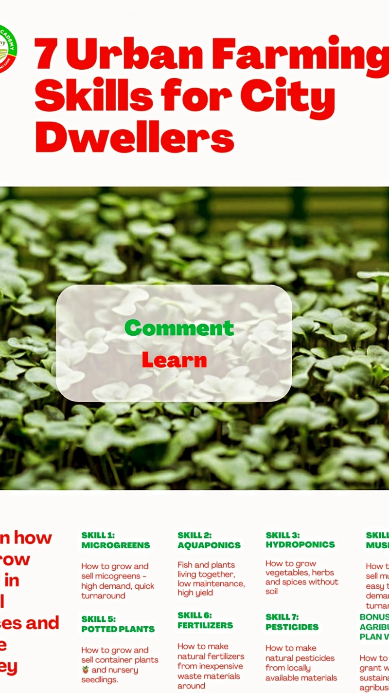 Get 7 Urban Farming Skills for City Dwellers by Urban Farm Academy ...