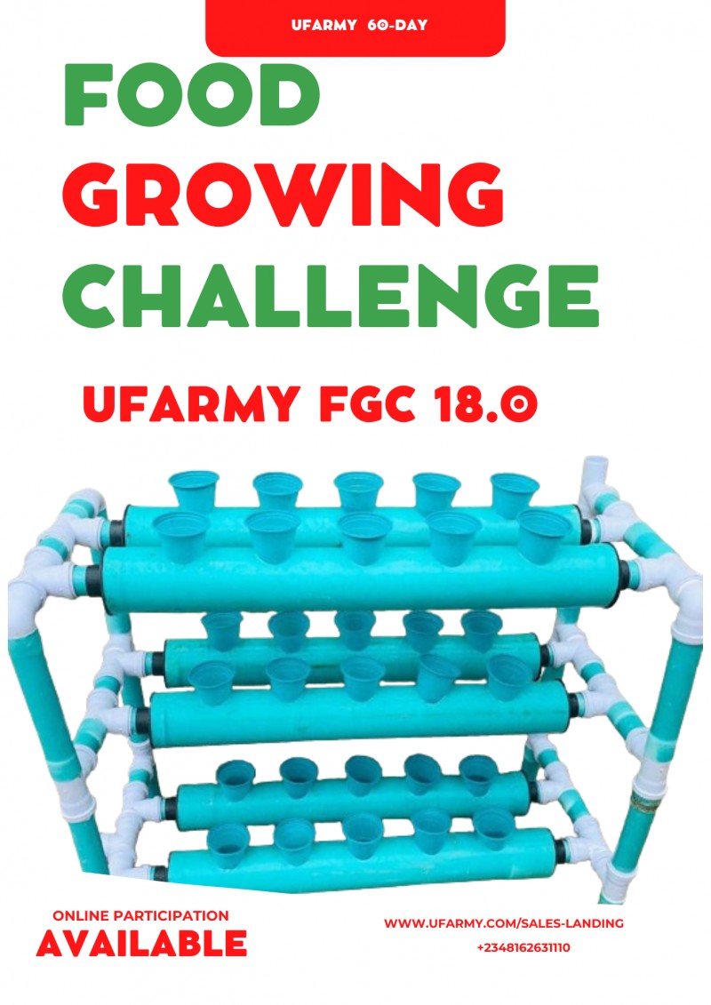 Buy Ufarmy Grow- City Food Growing Challenge FGC by Urban Farm Academy ...