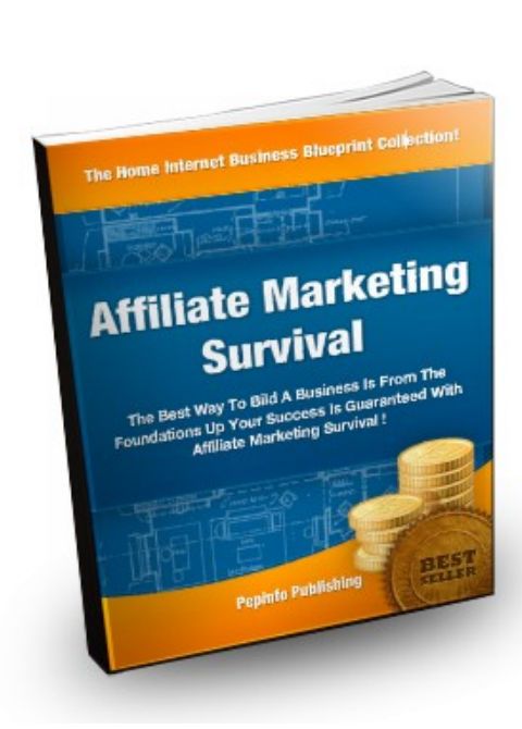 Buy HOW TO SURVIVE AND MAKE SALES WITH AFFILIATE MARKETING (E -COMMERCE ...