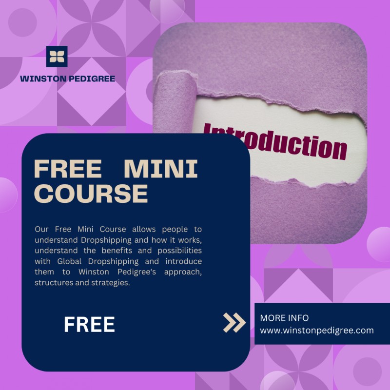 Get Free Mini Course by Winston Pedigree on Selar