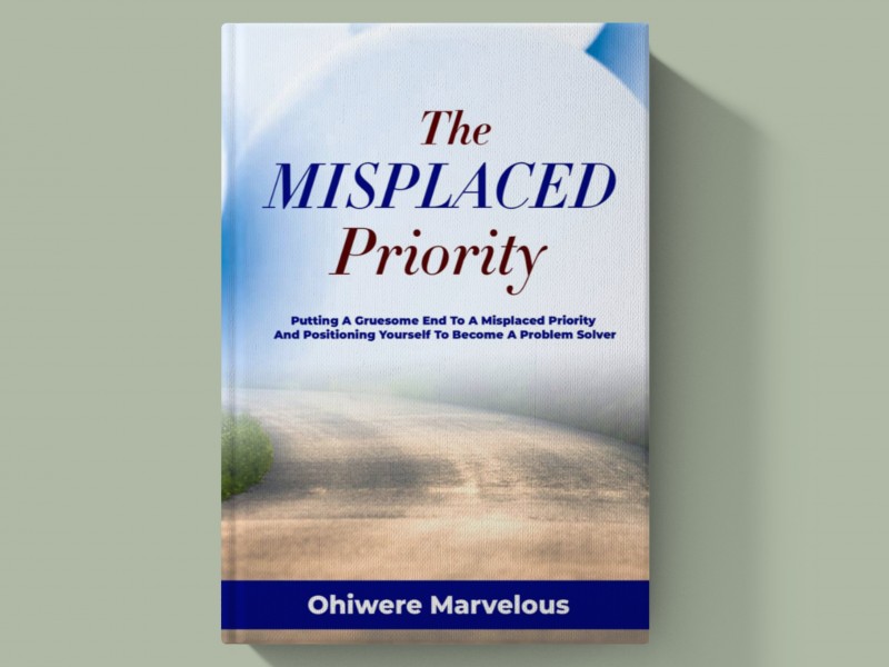 Buy THE MISPLACED PRIORITY by Ohiwere Solita Marvelous on Selar