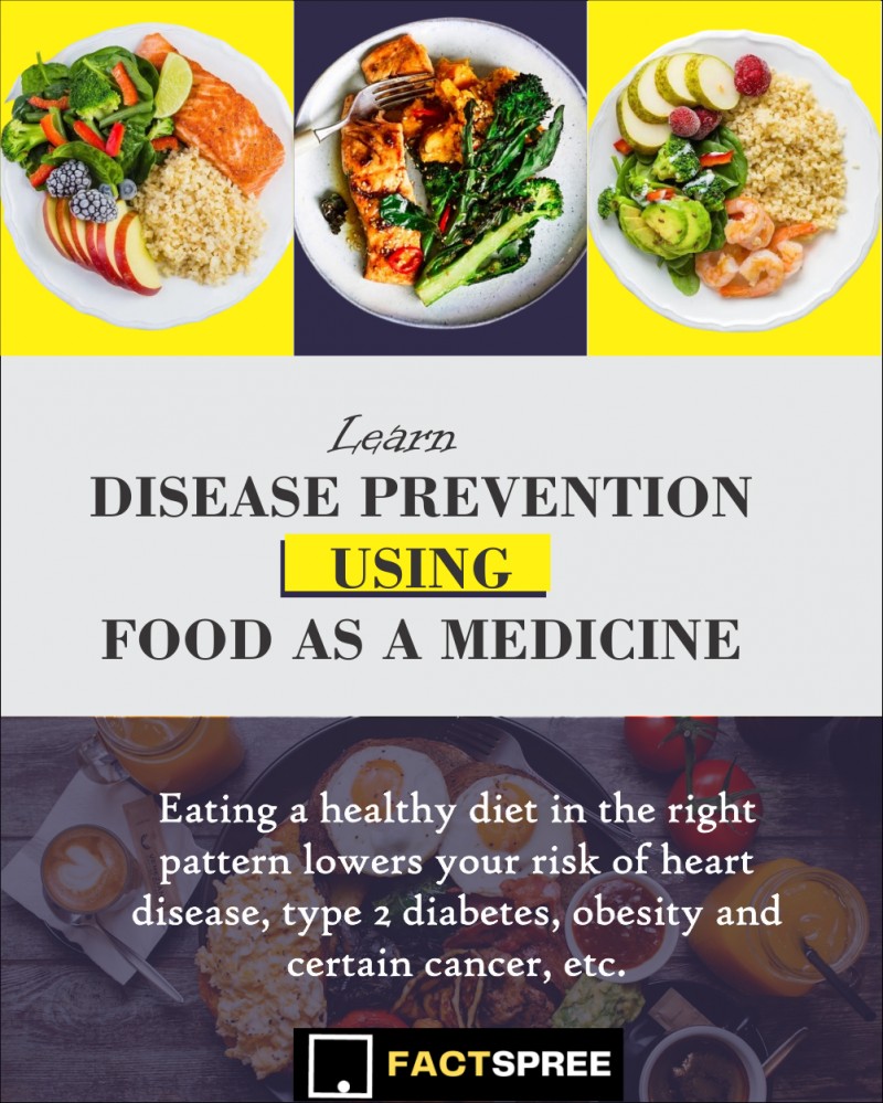 Buy Disease Prevention Using Food as Medicine by Chibuike Elisha on Selar