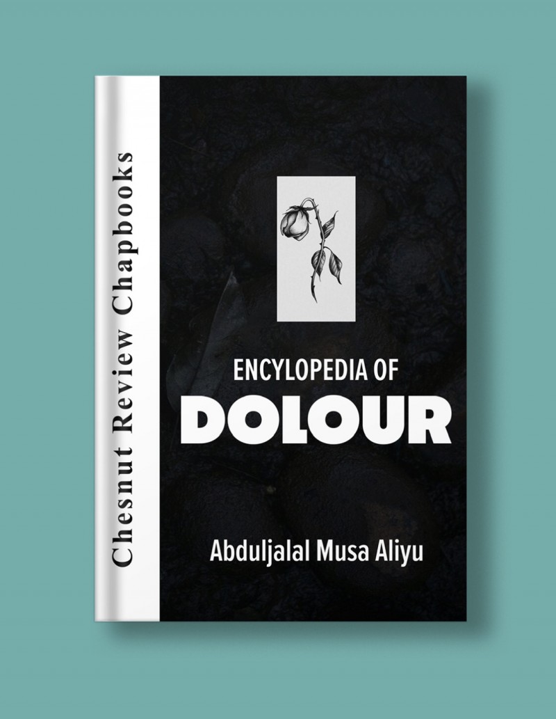 Buy Encyclopedia of Dolour by Abduljalal Musa Aliyu on Selar