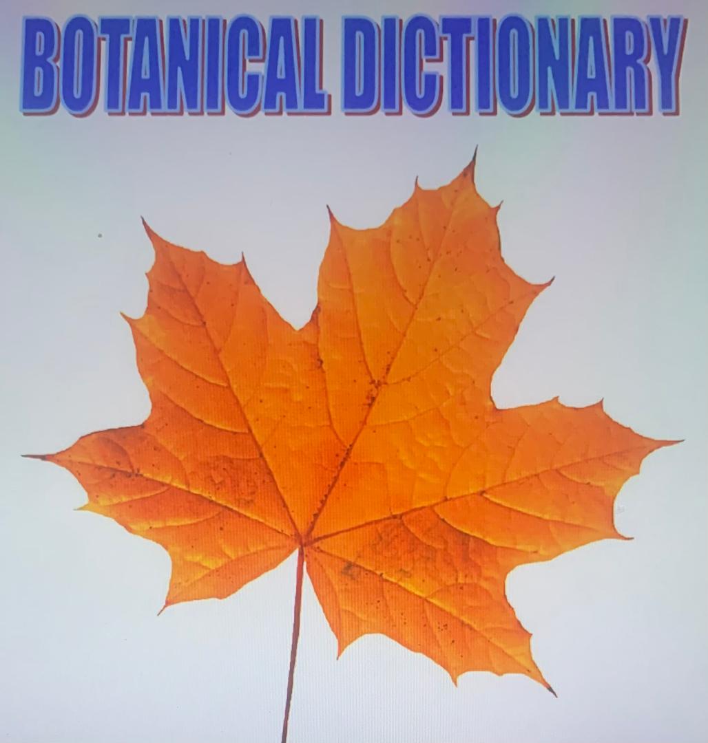 Buy FAMBO BOTANICAL DICTIONARY by Abdullahi Alanamu AbdulRahaman on Selar