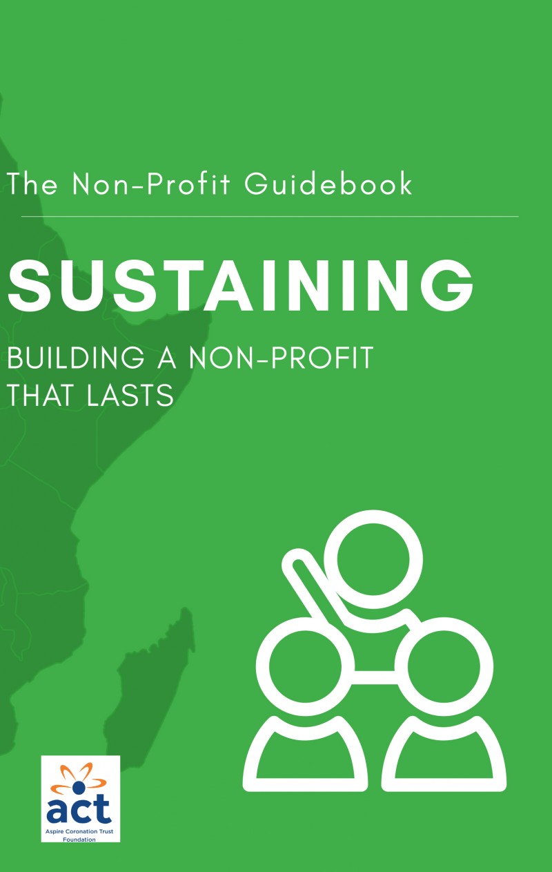 Buy THE NON-PROFIT GUIDEBOOK BOOK 3 SUSTAINING: Building A Non-Profit ...