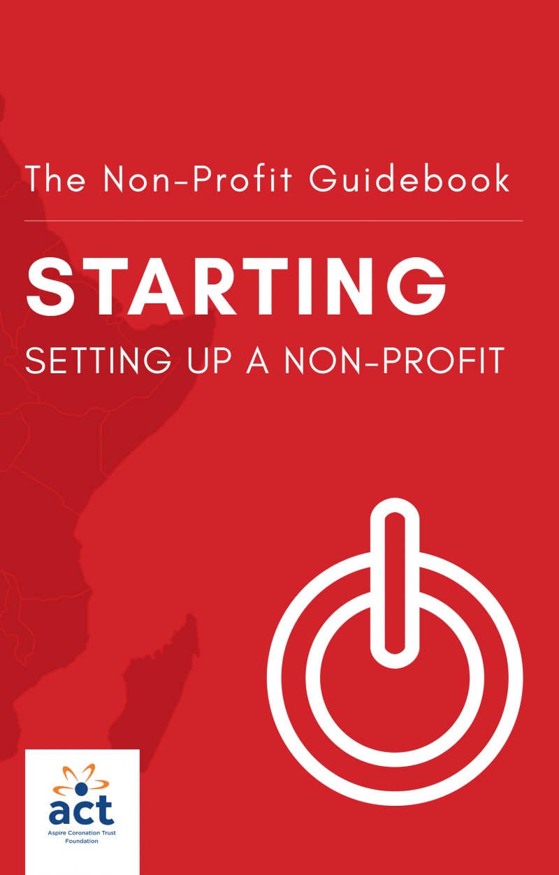 Buy THE NON-PROFIT GUIDEBOOK BOOK 1 STARTING: Setting Up A Non-Profit ...