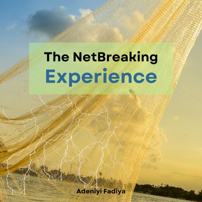 Buy The Net breaking Experience by Adeniyi Fadiya on Selar