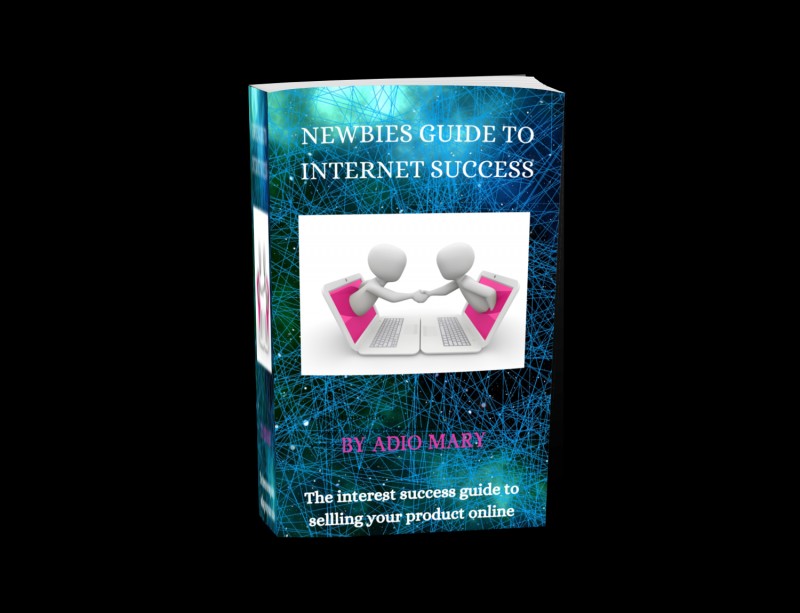 Buy Newbies guide to internet success by Adio Mary on Selar