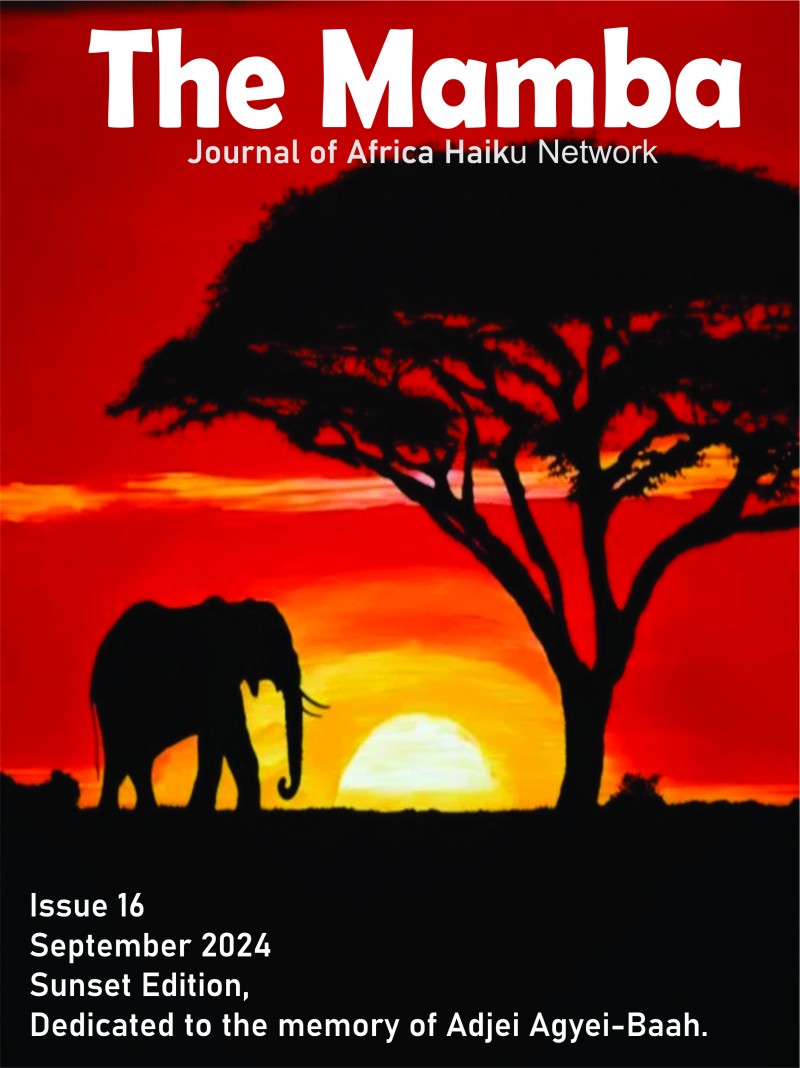 Buy Mamba 16, September 2024 Issue (Guest Edited by Myron Lysenko & Randy Brooks) by Africa ...