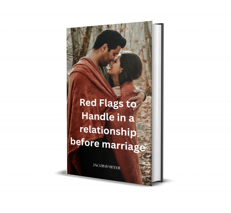 Buy The Red Flags to Handle in a relationship before marriage by Hallmark E-book Store on Selar