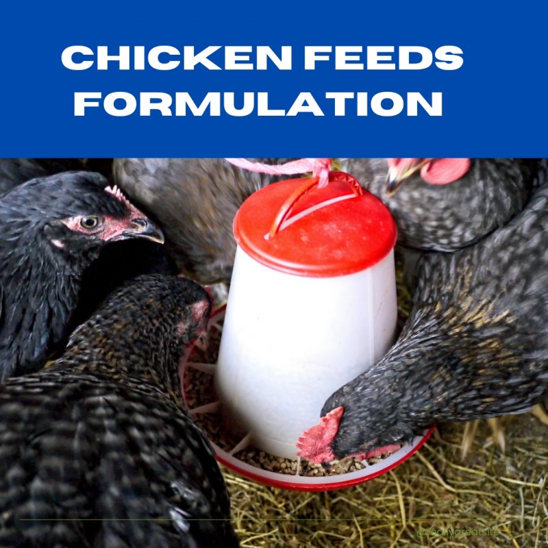 Buy CHICKEN FEEDS FORMULATION BOOK by Agribusiness Experts on Selar