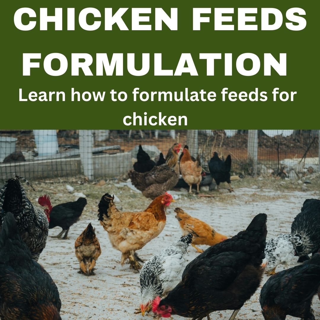 Buy CHICKEN FEEDS FORMULATION BOOK by Agribusiness Experts on Selar