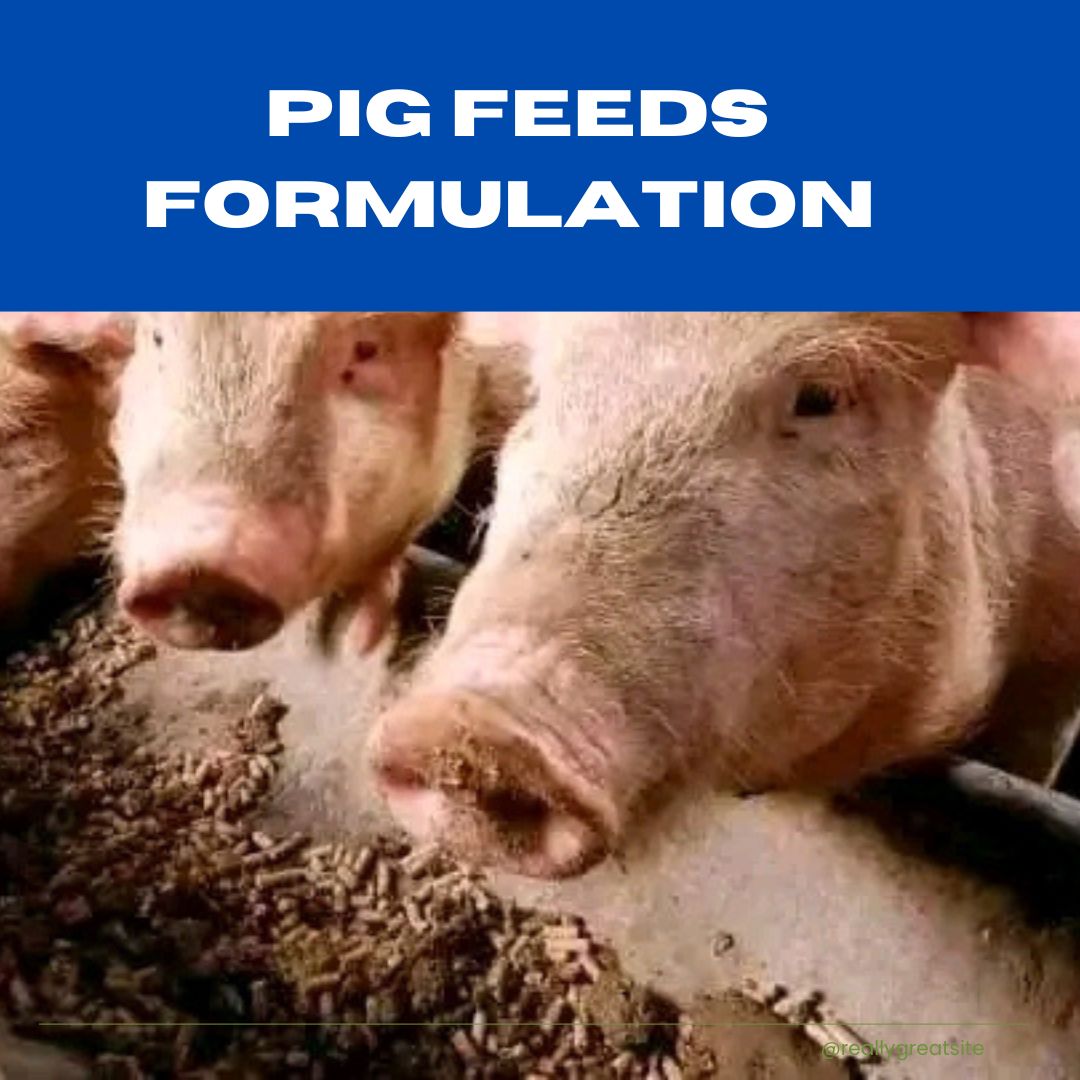 Buy PIG FEEDS FORMULATION BOOK by Agribusiness Experts on Selar