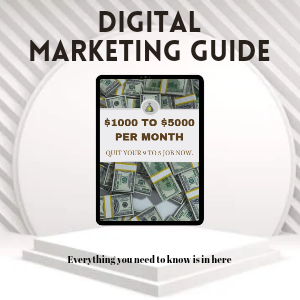 Buy The Digital Dollar blueprint by Aisha kawu on Selar