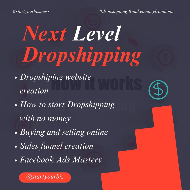 Buy Next level Drop shipping by Pioneer's on Selar