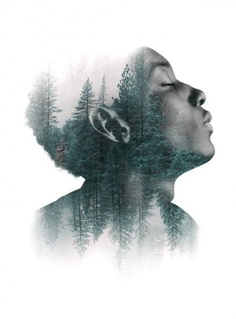 Buy COMPLETE ADOBE PHOTOSHOP TRAINING COURSE. by Akpom Dera on Selar