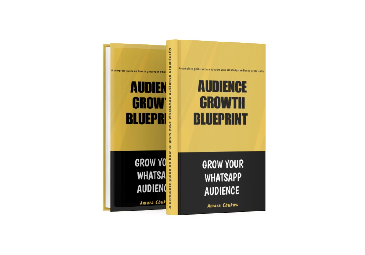 Buy AUDIENCE GROWTH BLUEPRINT by Amara Chukwu on Selar