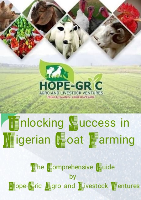 Buy Unlocking Success in Nigerian Goat Farming: The Comprehensive Guide ...