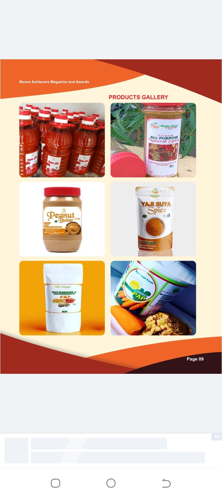 Buy BENUE Achievers Magazine ( Gloria Ogbudu; right nutri foods ) by Favour on Selar