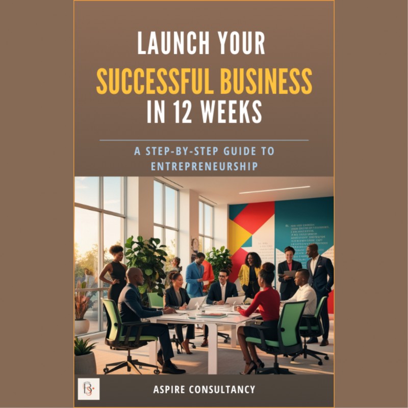 Buy Launch Your Successful Business in 12 Weeks by Aspire Consultancy on Selar