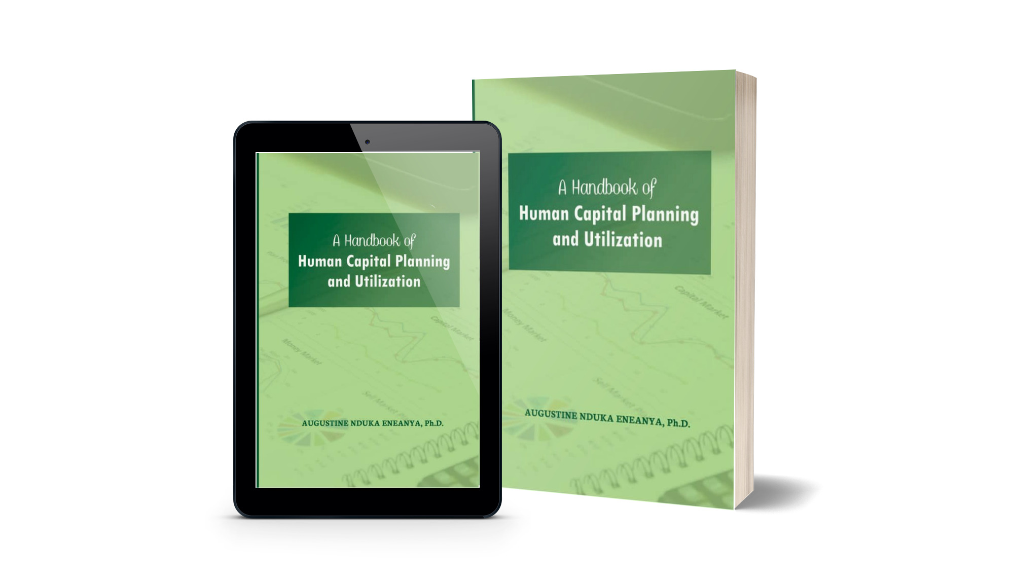 Buy A HANDBOOK OF HUMAN CAPITAL PLANNING AND UTILIZATION by Augustine ...