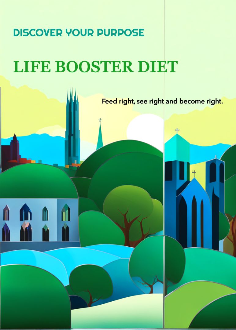 Buy Life Booster Diet by Sam & Ayo on Selar