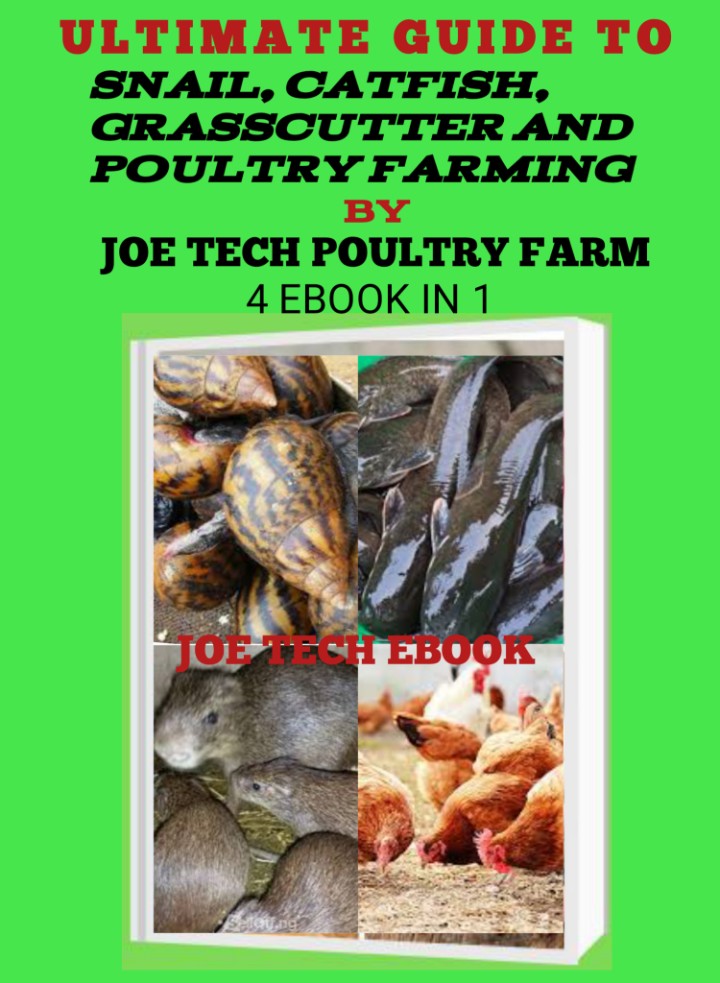 Buy ULTIMATE GUIDE TO SNAIL, CATFISH, GRASSCUTTER AND POULTRY FARMING by Joe Tech farm on Selar