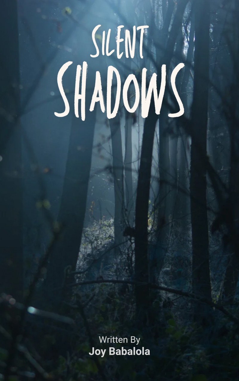 Buy Silent Shadows by Babalola Joy Akinlolu on Selar