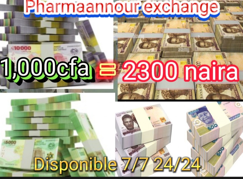 Buy L'échange by Bamanga Suleiman on Selar