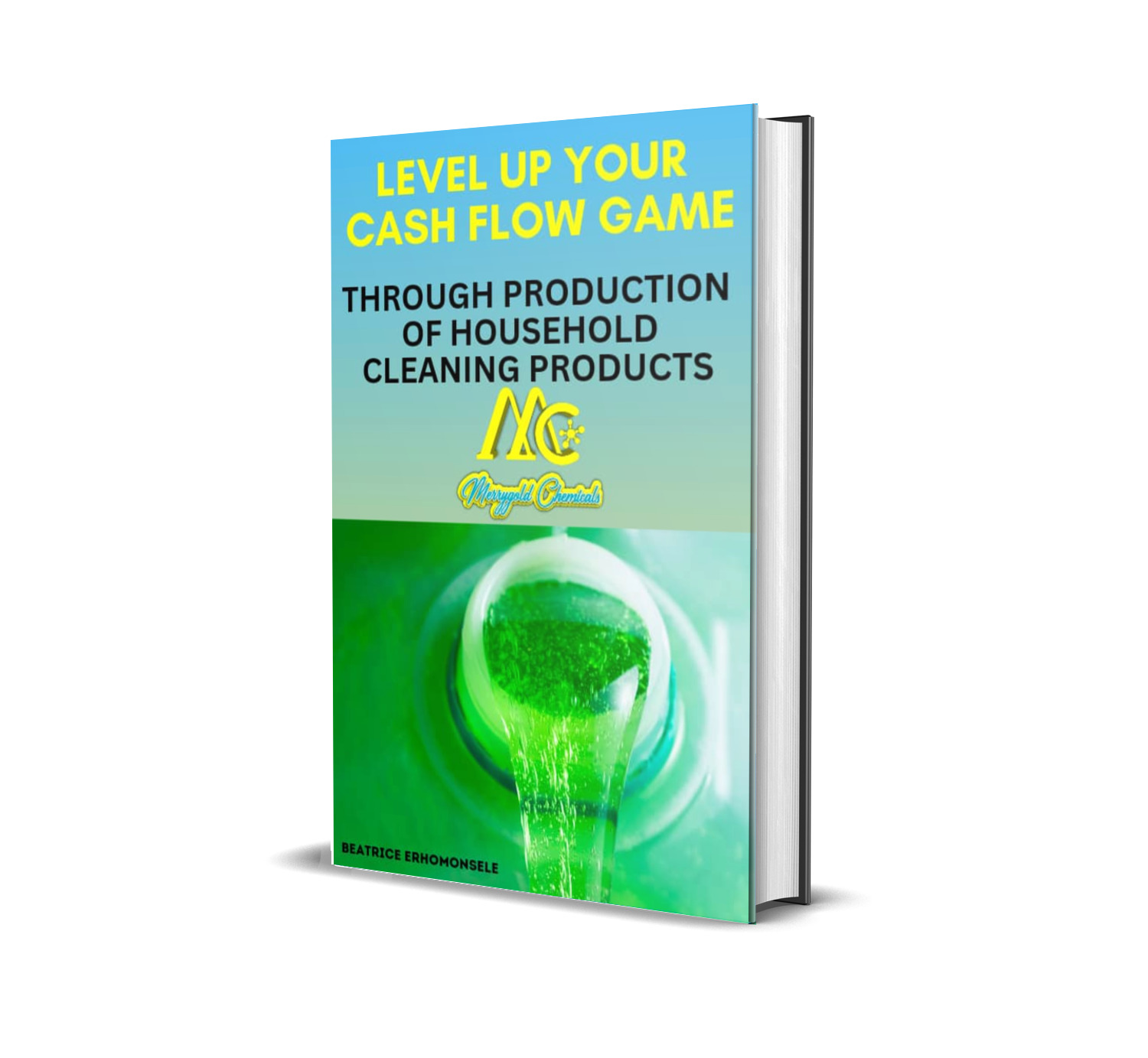 Buy LEVEL UP YOUR CASHFLOW GAME THROUGH PRODUCTION OF HOUSEHOLD ...