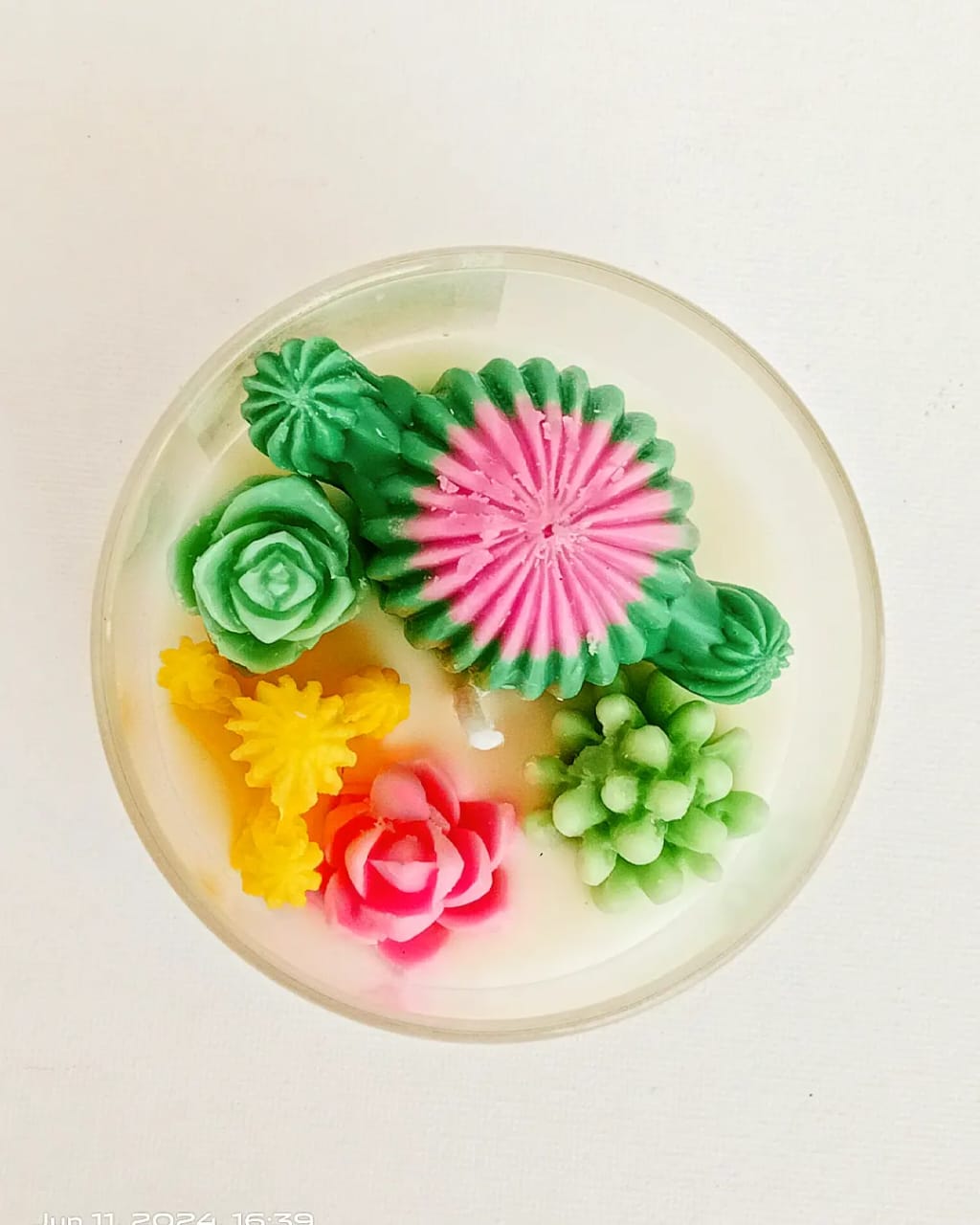 Buy Cactus Terrarium Scented Candles by BLISS-ERA LIFESTYLE on Selar